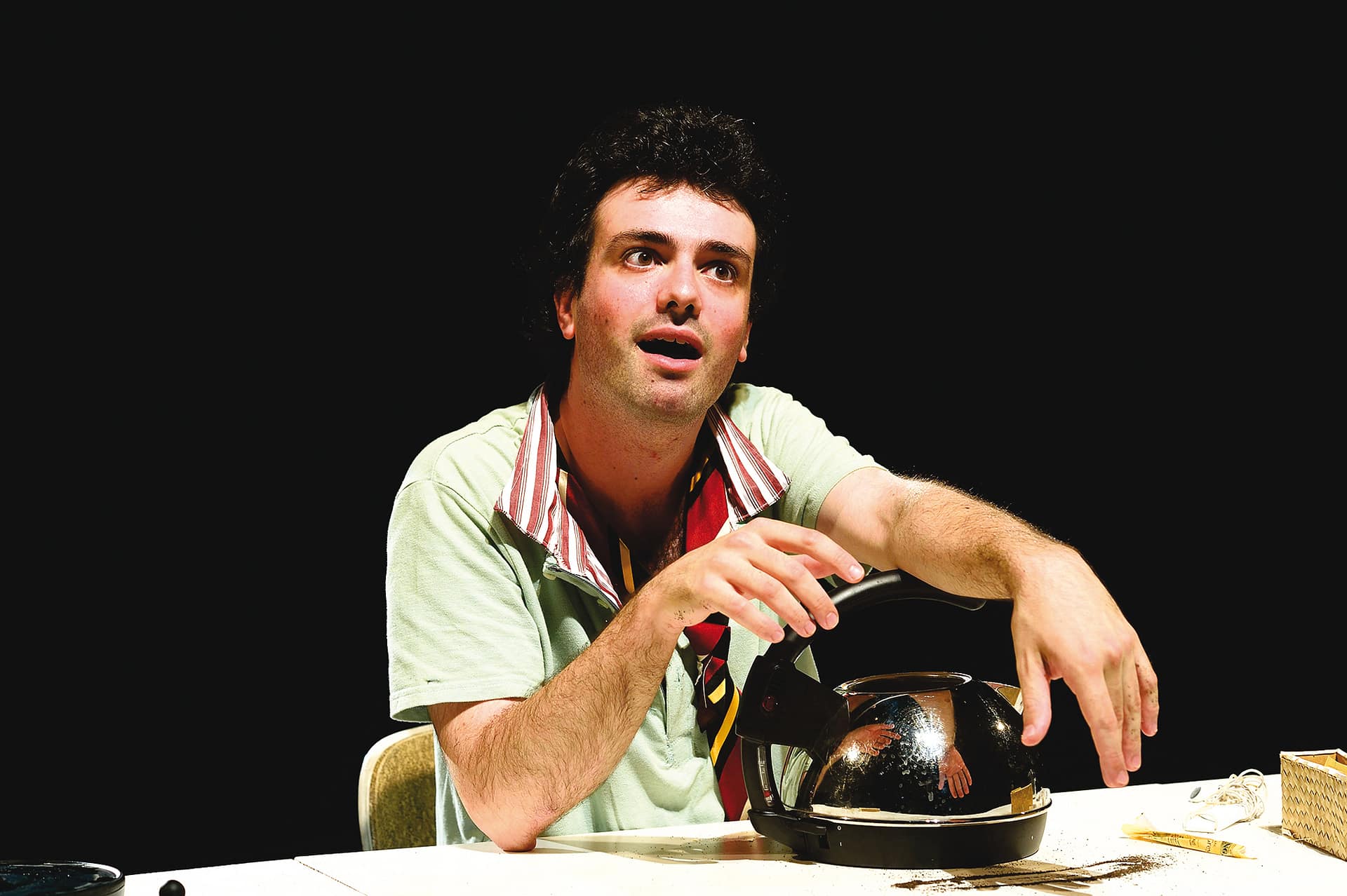 Comment je suis devenu stupide - Nième compagnie